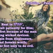 Share The Word | HalleluYah Scriptures