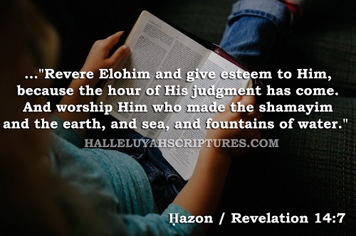 Share The Word | HalleluYah Scriptures