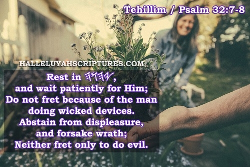 Share The Word | HalleluYah Scriptures