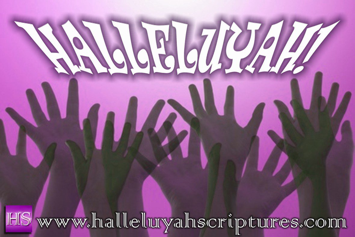 January 2012 Update Report : HalleluYah Scriptures