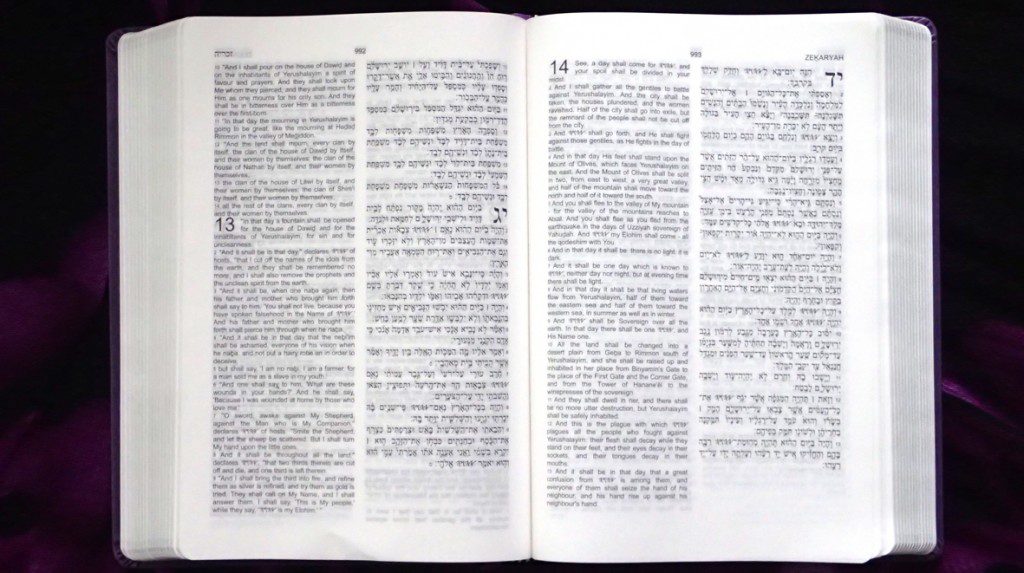 Parallel Hebrew/English HalleluYah Scriptures. | HalleluYah Scriptures