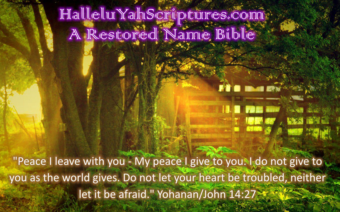 Papua New Guinea - Rejoicing Over The HalleluYah Scriptures ...