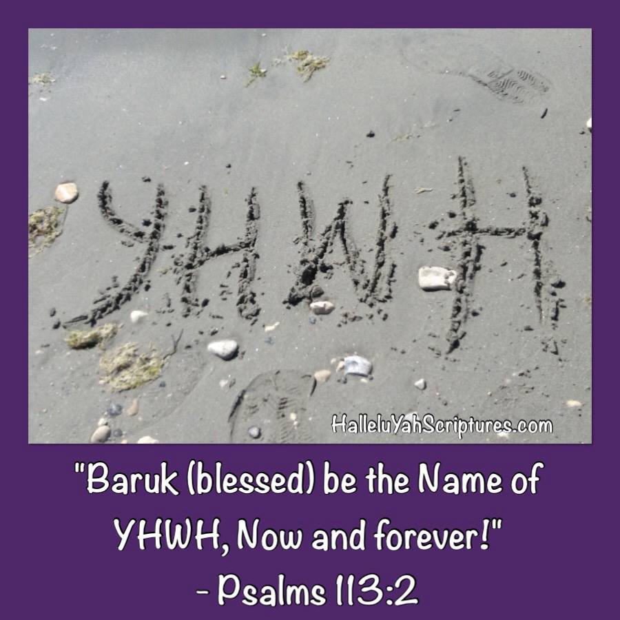 A HUGE Miracle – Praises To The Most High – Please Read HalleluYah ...