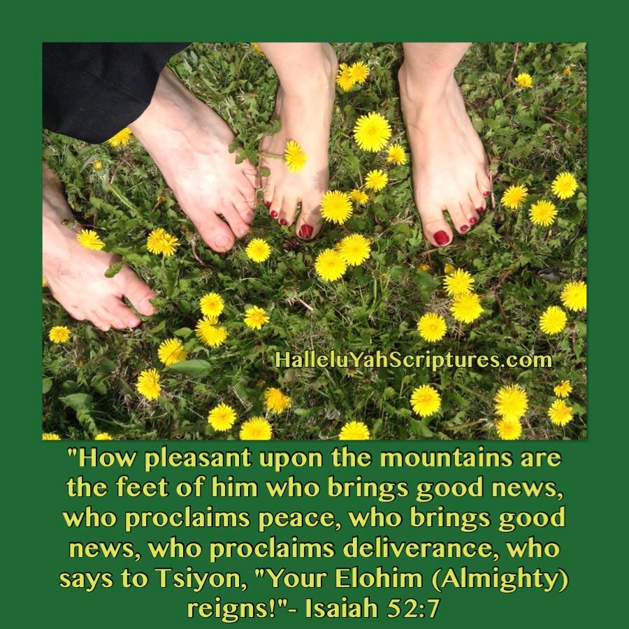 A HUGE Miracle – Praises To The Most High – Please Read HalleluYah ...