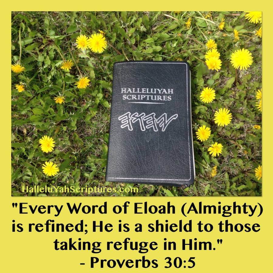 A HUGE Miracle – Praises To The Most High – Please Read HalleluYah ...