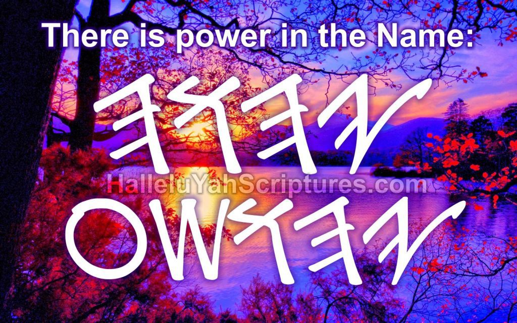 Sukkoth Celebration – Have A Lovely Sukkoth Break!!! | HalleluYah ...