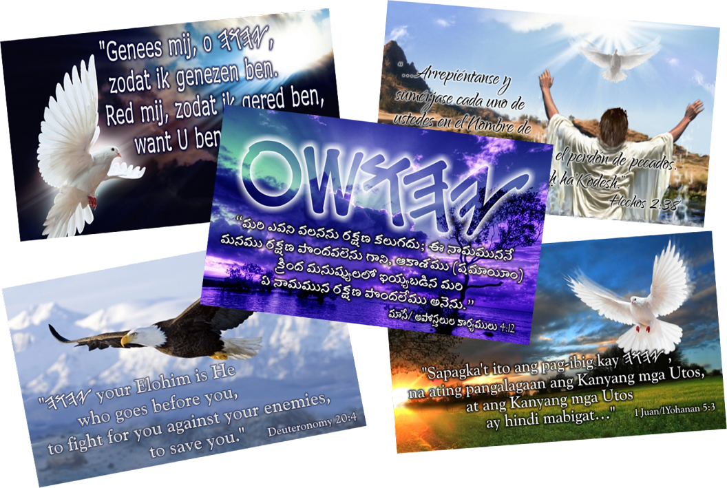 HalleluYah Scriptures List of All Items | HalleluYah Scriptures