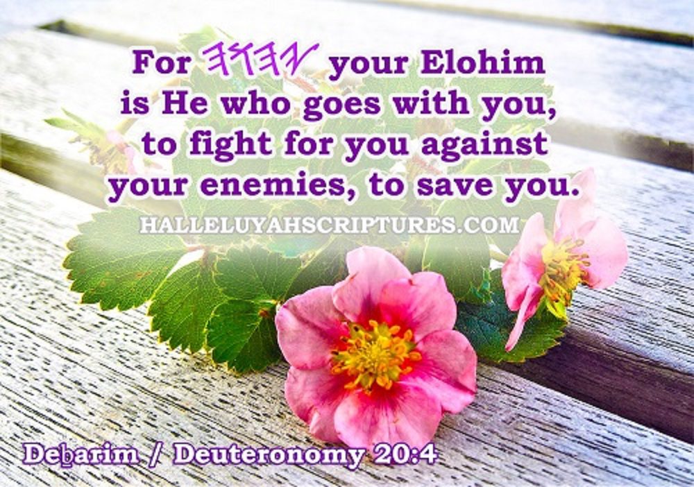 Free Pictures Verses – Download & Share His Word | HalleluYah Scriptures