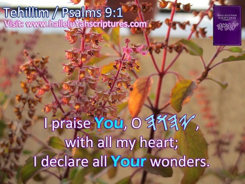 Free Pictures Verses – Download & Share His Word | HalleluYah Scriptures