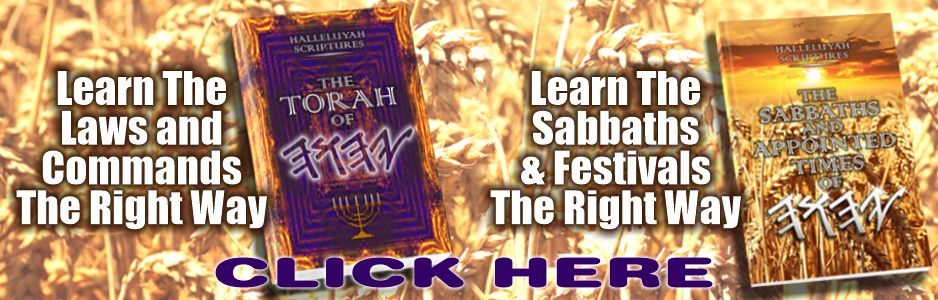 HalleluYah Scriptures | Restored Paleo Hebrew Name Scriptures